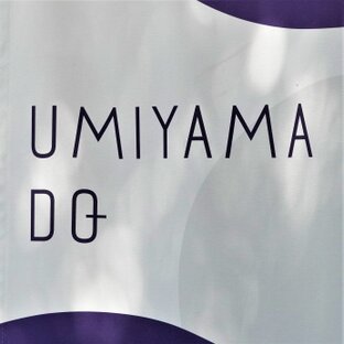 江の島の頂上で見つけた♪シナモン香るゴロゴロリンゴのアップルパイ「UMIYAMA DO 」｜ことりっぷ